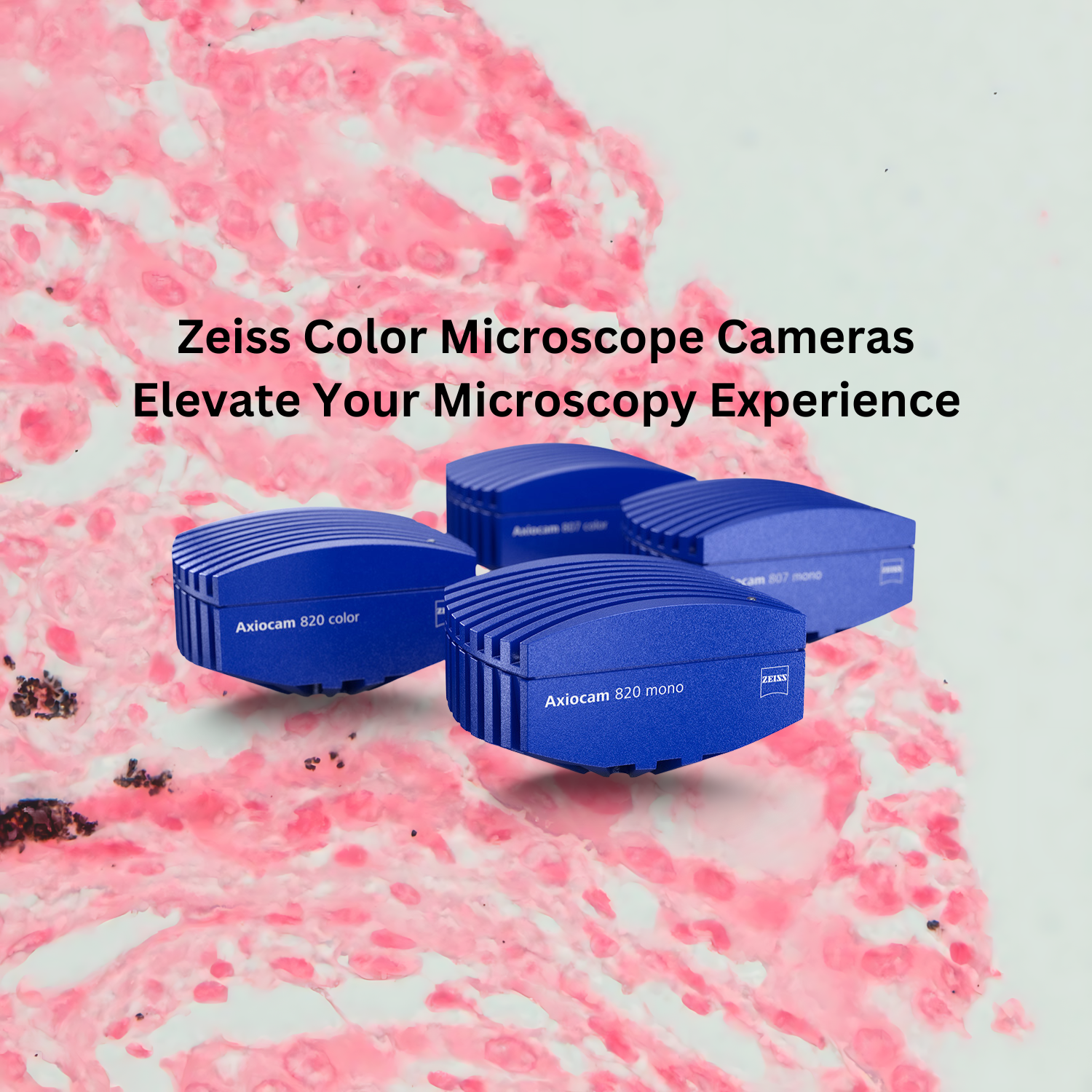 Top 5 Zeiss Color Microscope Cameras: Elevate Your Microscopy Experience